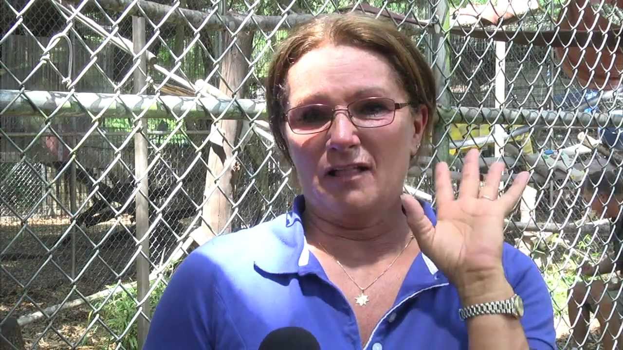 Saying Goodbye to Pet Monkey - YouTube