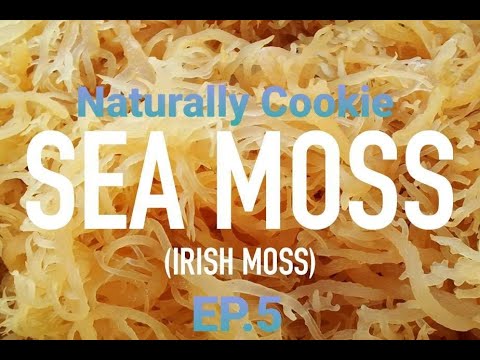 DIY Ep.5: Irish Sea Moss | Naturally Cookie - YouTube