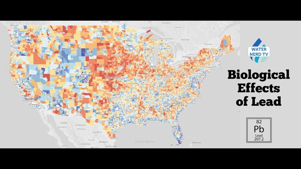 The Biological Effects Of Lead: What You Need To Know - YouTube