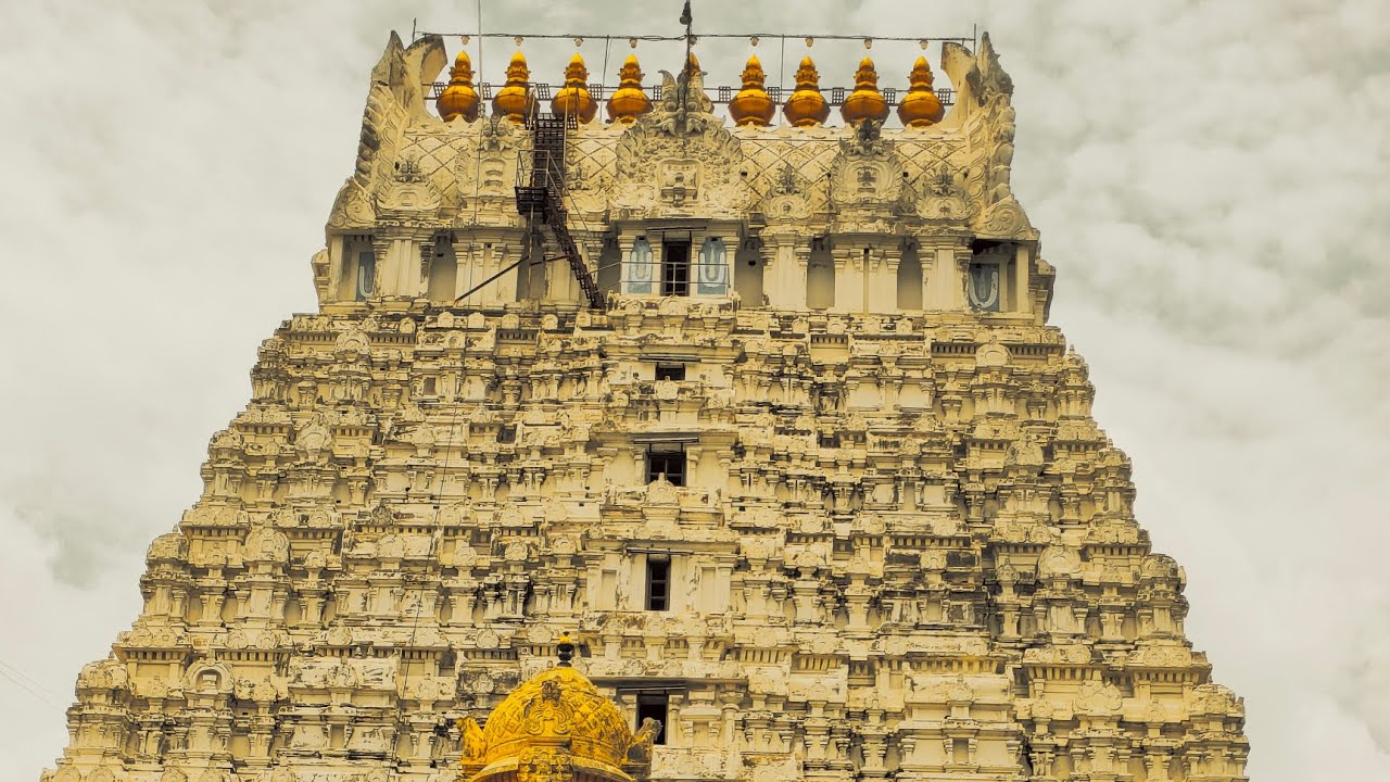 Kanchipuram Golden Lizard Temple #temple #god #temples #kancheepuram # ...