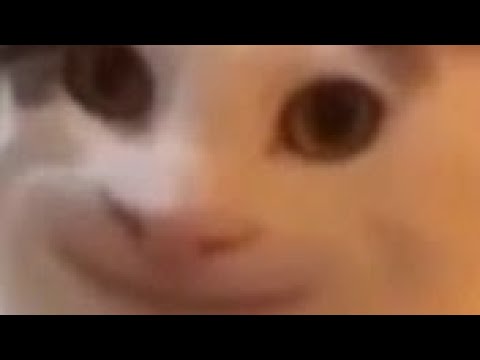 POV: you need to pee really bad