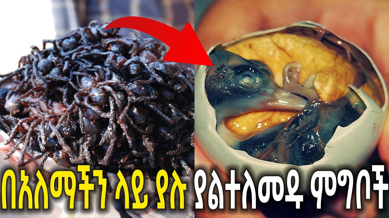 በአለማችን ላይ ያሉ ያልተለመዱ ምግቦች Youtube