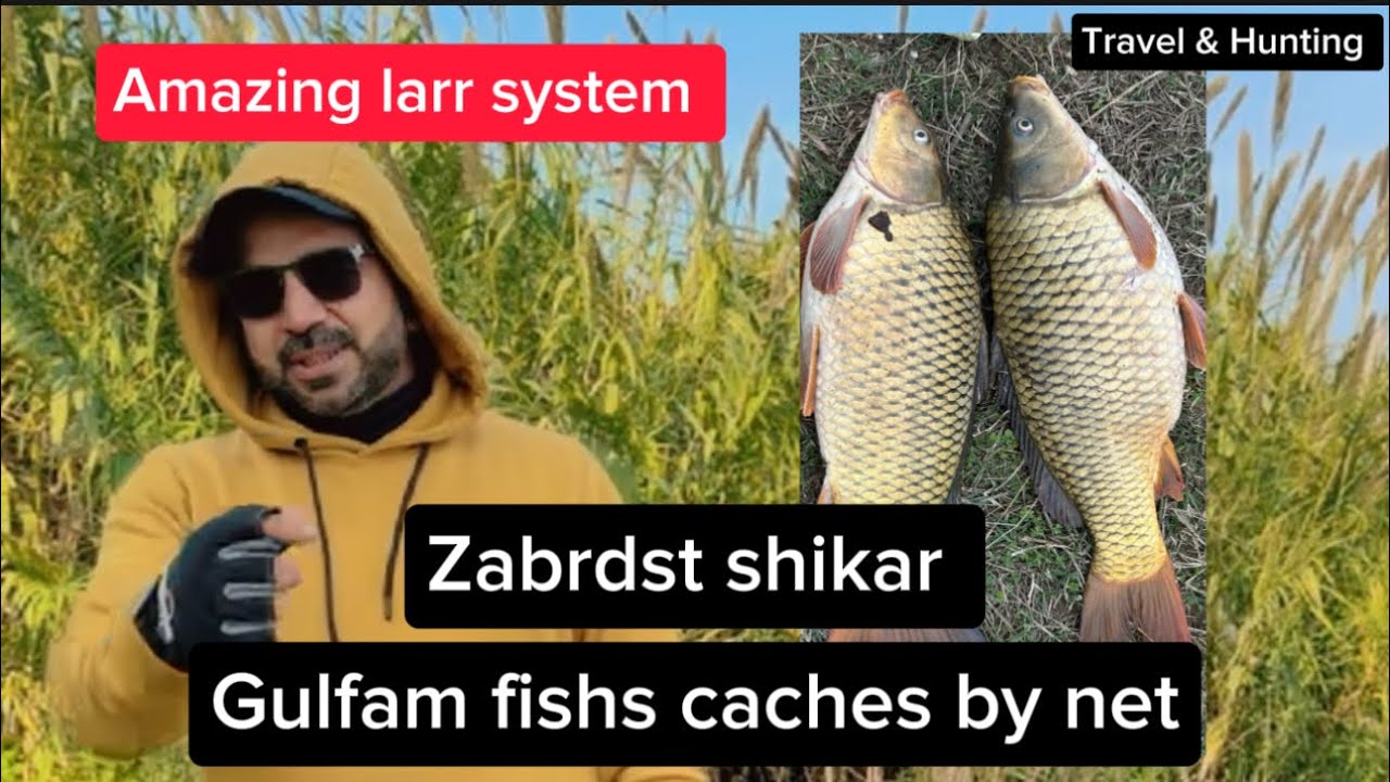 Fishing in Pakistan gulfam fishes catches by (Larr) net.watch till end ...