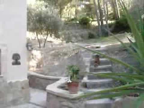 Villa Bosque - Puerto de Andratx - Mallorca - Ferienfinca