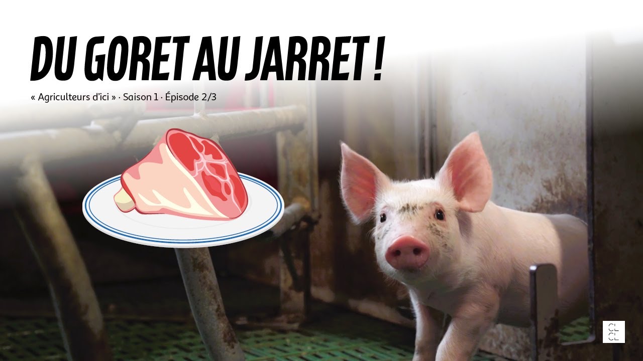 "Du goret au jarret" : un bon kig ar farz commence par là ! - YouTube