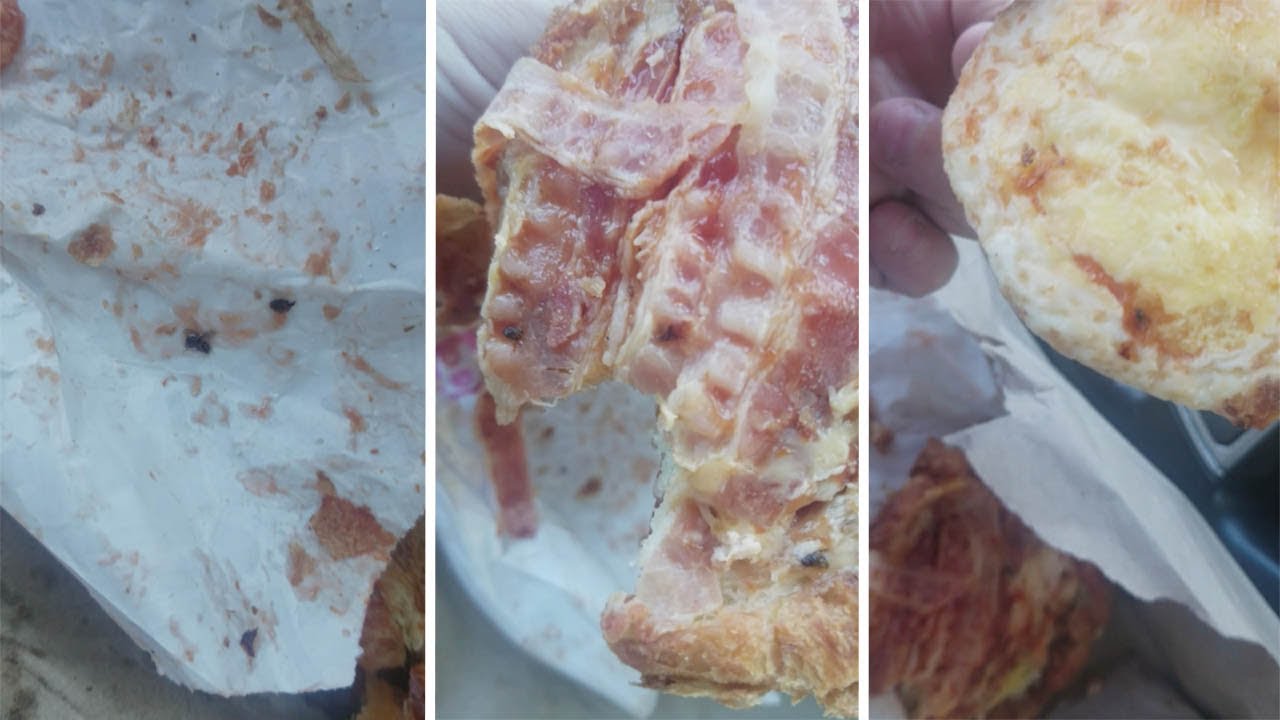 Maggot Falls Out Of Dunkin Donuts Breakfast Sandwich - YouTube