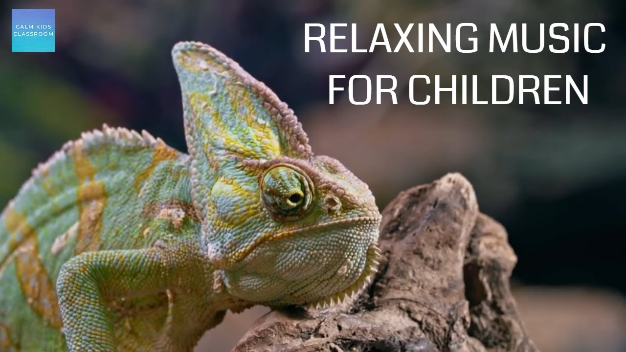 Morning Music For Class - Jungle sounds & instrumental music - relaxing ...