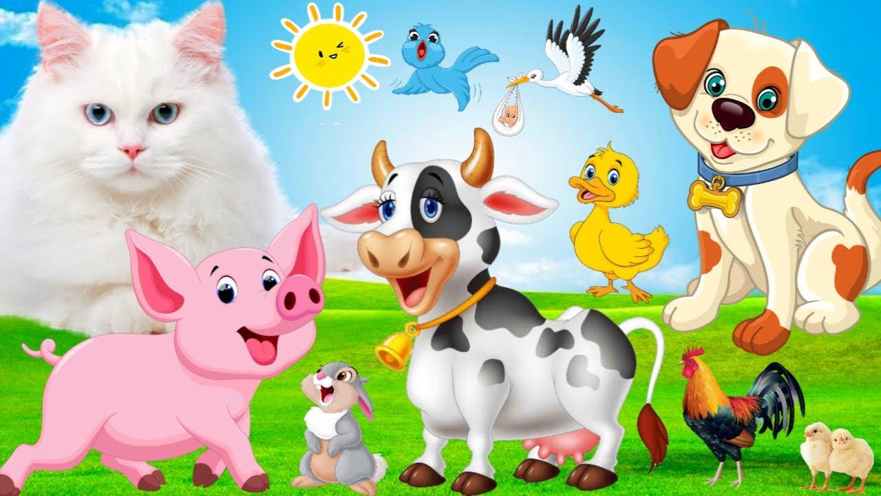 Familiar animals, farm animal sounds, horse, elephant, tiger, cat, dog ...