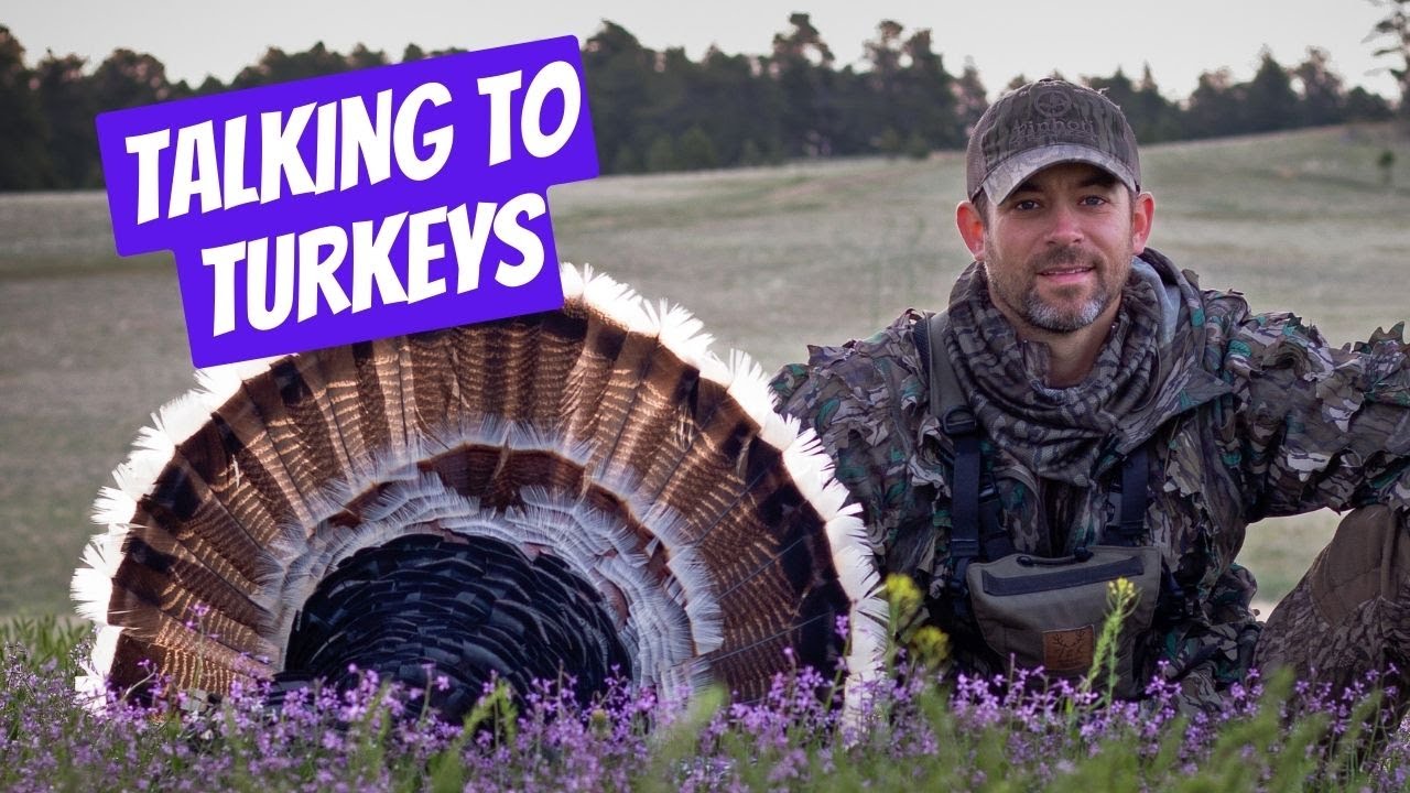 Meet Dave Owens: The Best Turkey Hunter in the World - YouTube