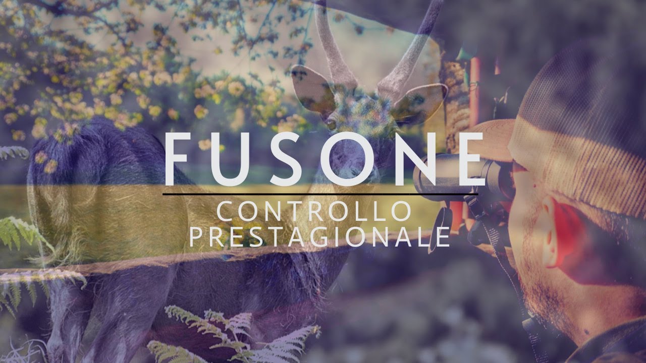 Alla Ricerca del Fusone di Daino | Controllo Prestagionale - YouTube