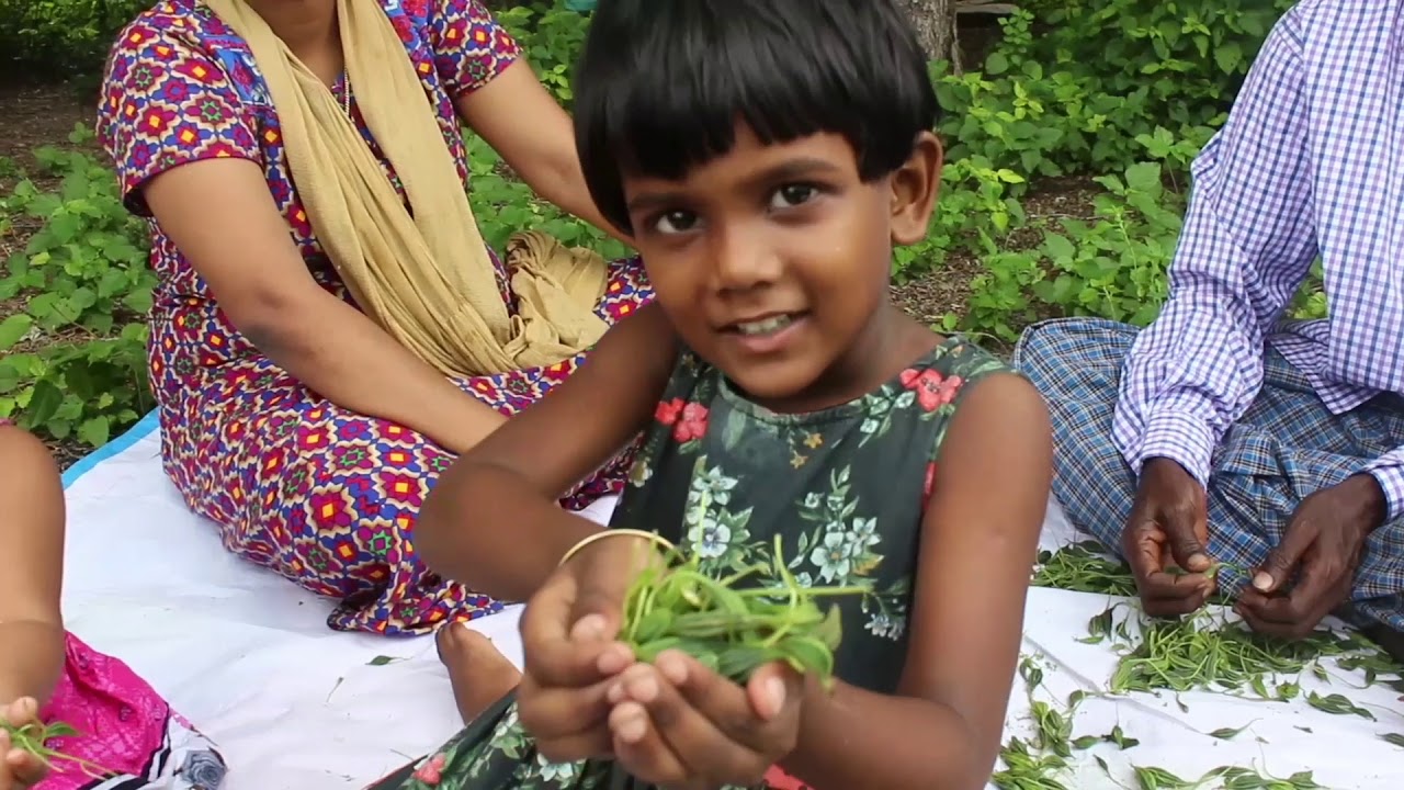 அதலைக்காய் பொரியலும் பழைய சோறும் | Athalakkai Poriyal | Douglas Foodie ...