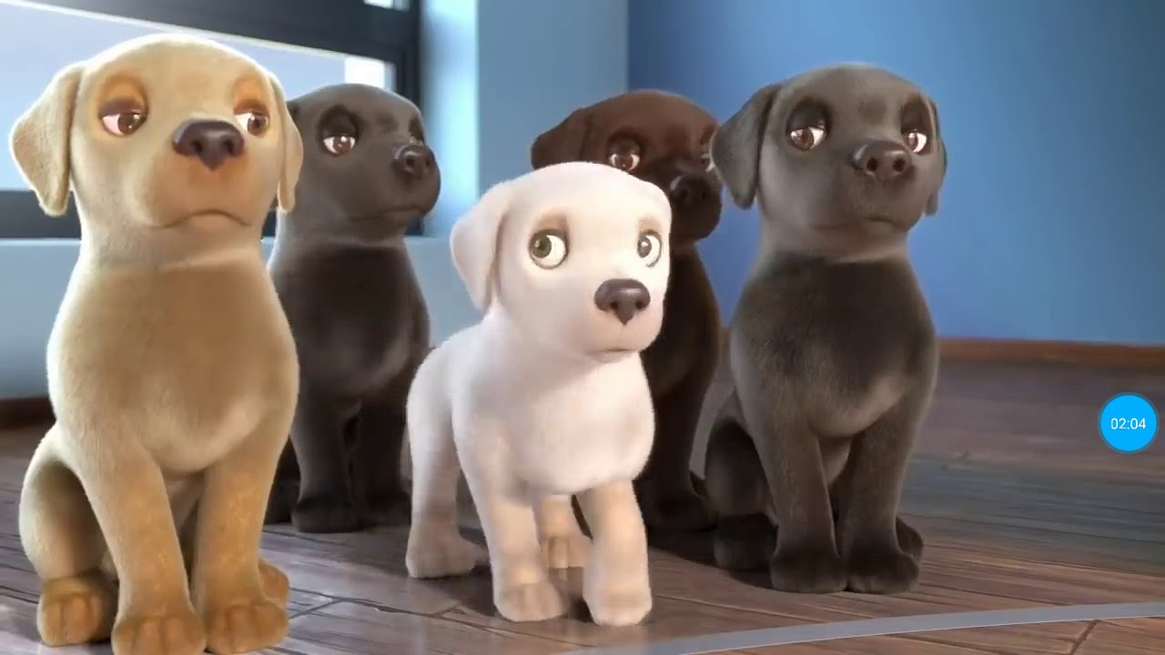 Dogs first day school - YouTube