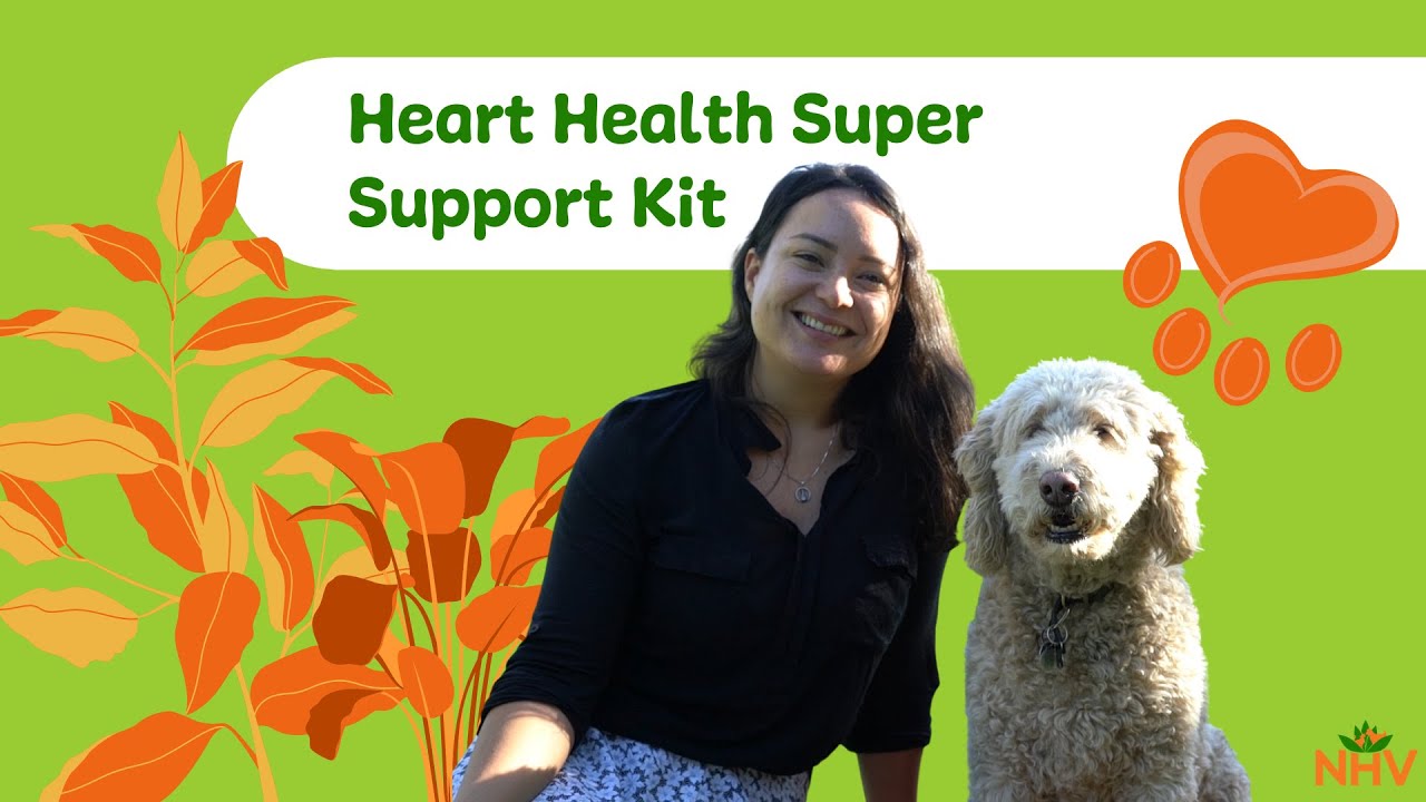 NHV Heart Health Super Support Kit For Cats & Dogs - YouTube