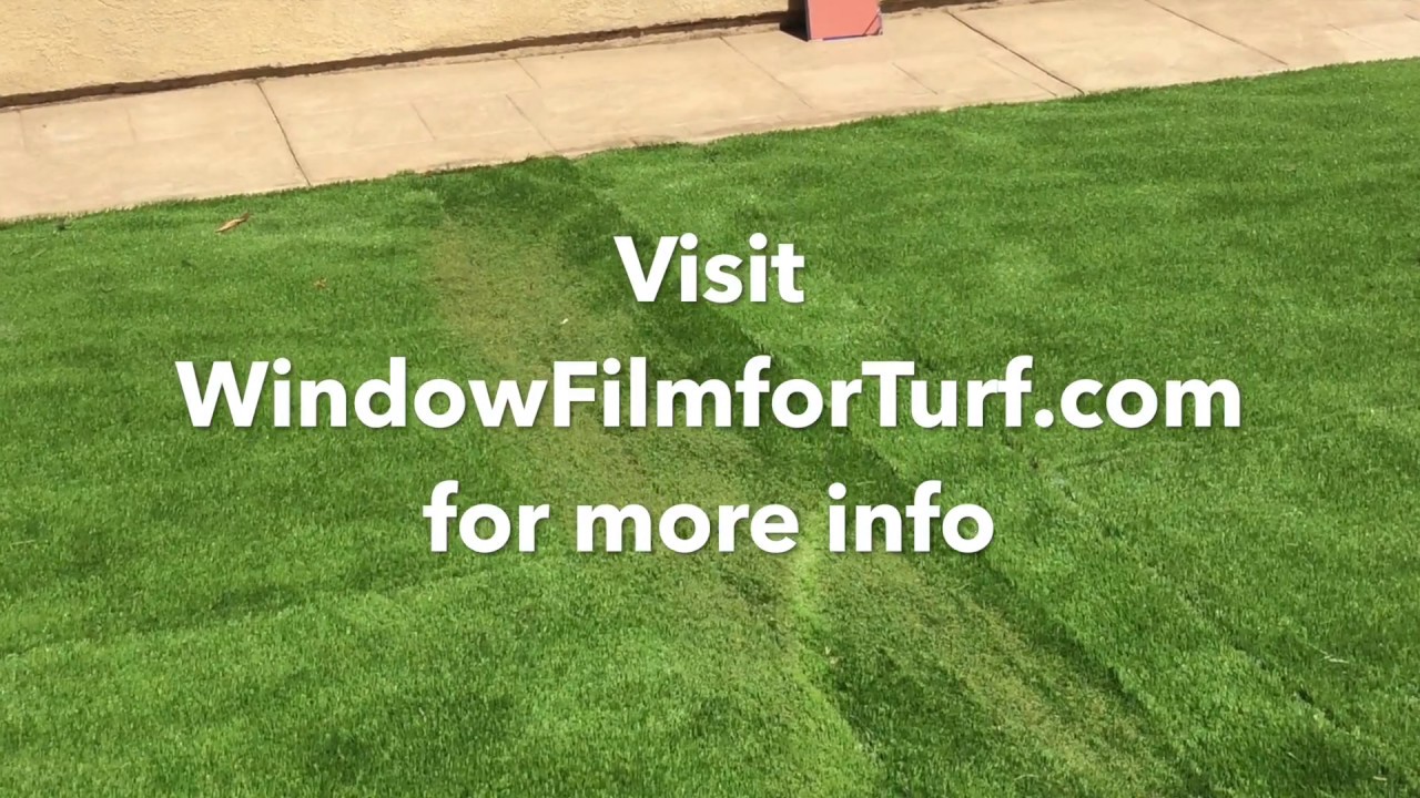 Turf Guard Window Film for Window Sun-Reflection Damage Protection ...