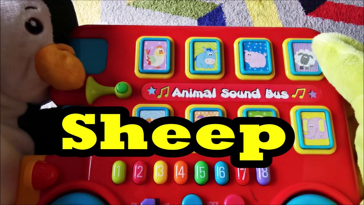 Animal Sound Bus | Nursery Rhymes | Children Songs | Piko and Caca ...