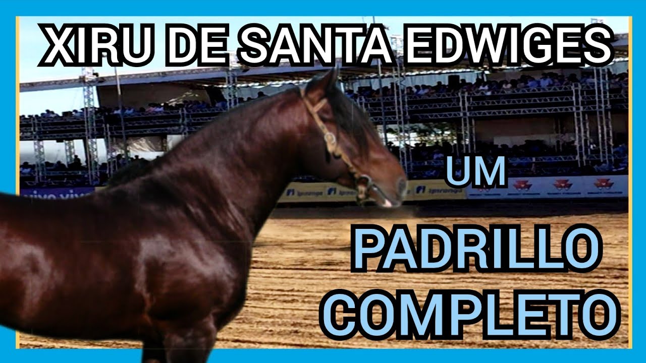 XIRU DE SANTA EDWIGES #geneticacrioula #xirudesantaedwiges #abccc # ...