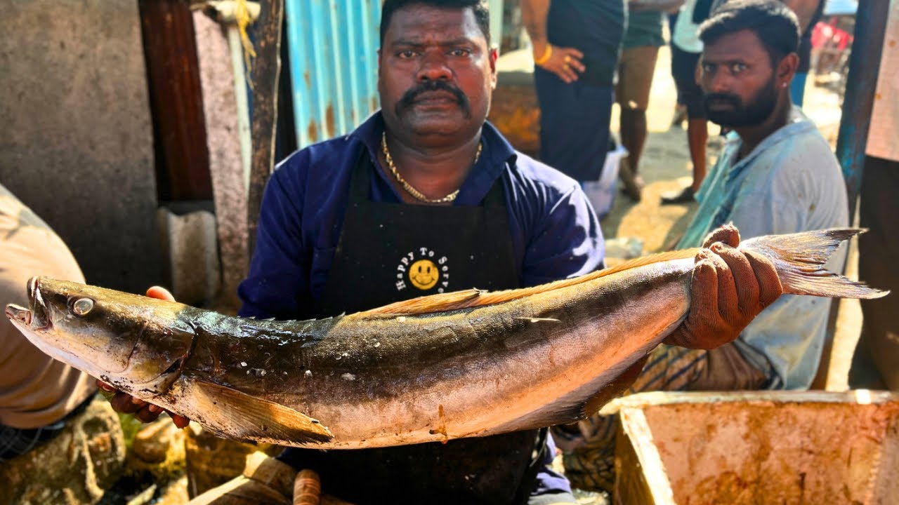 BIG COBIA KADAVARA FISH CUTTING BY SPEED SELVAM | HD VIDEO | IN ...