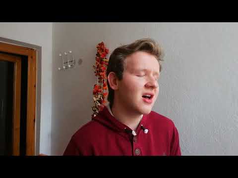 Ariana Grande - Touch It (cover)