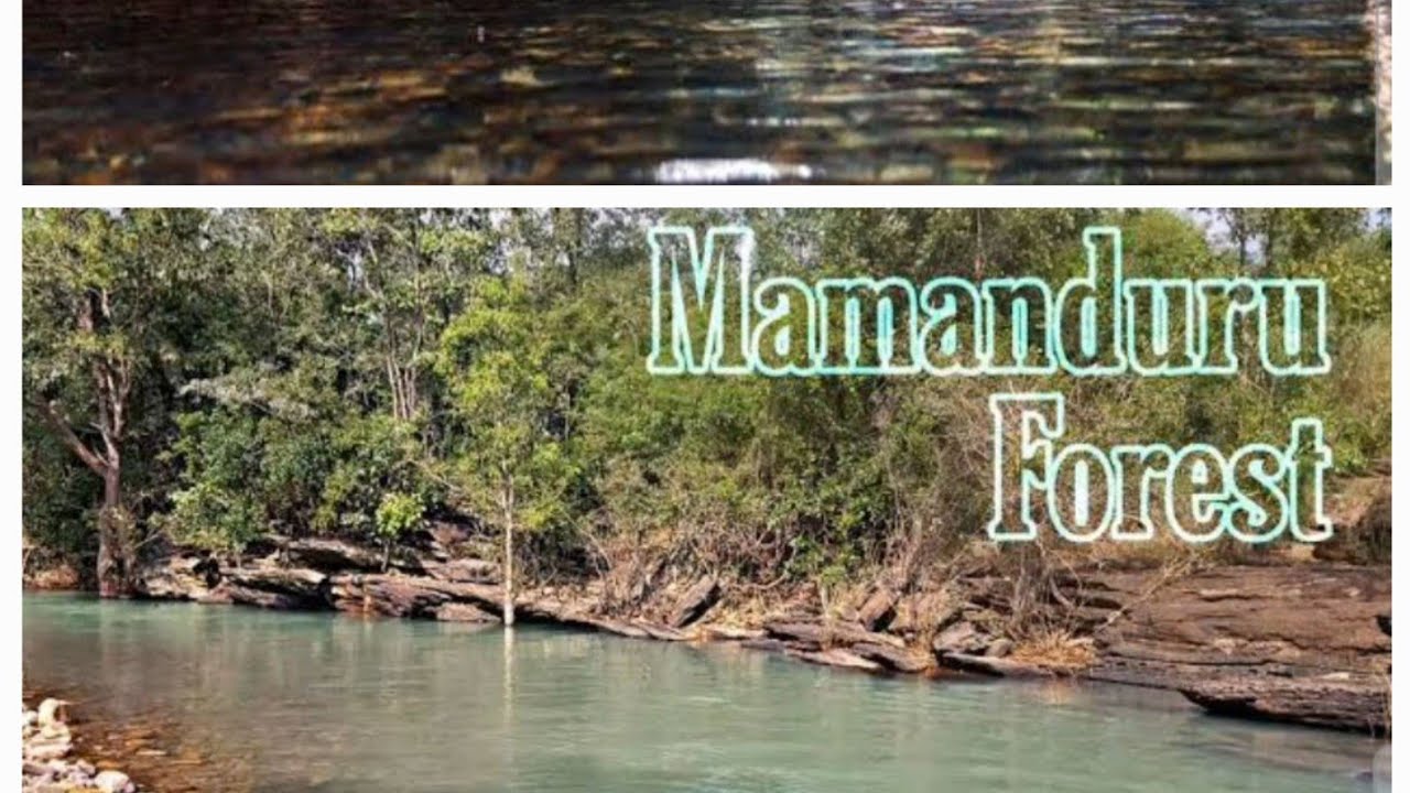 mamanduru forest in tirupati beautiful place 😍 water 💧 park [harini ...