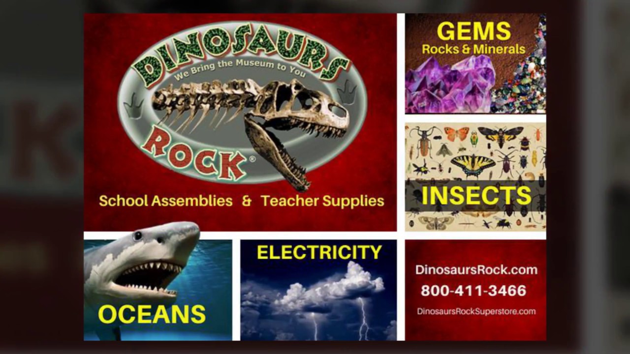 DINOSAURS ROCK® School Assemblies and Birthday Parties - YouTube