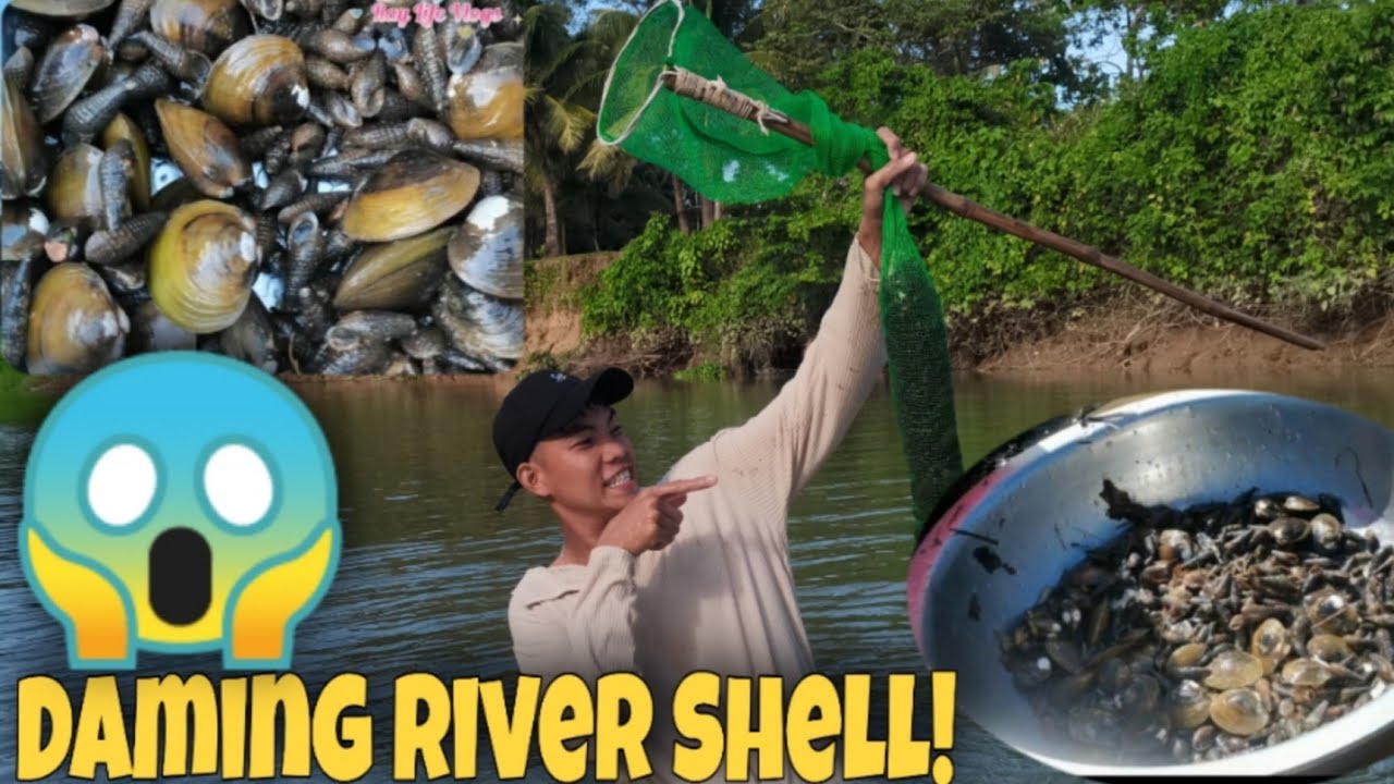 Mga Kabibi at Pisipis, Sa Ilog lang matatagpuan! 😱 ️ - YouTube