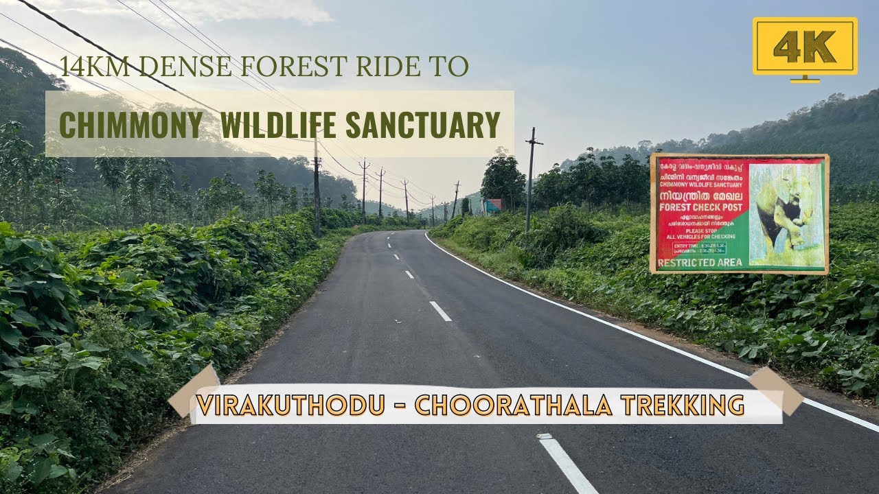 Chimmini wildlife sanctuary | Elephants | Forest trekking | Chimmony ...