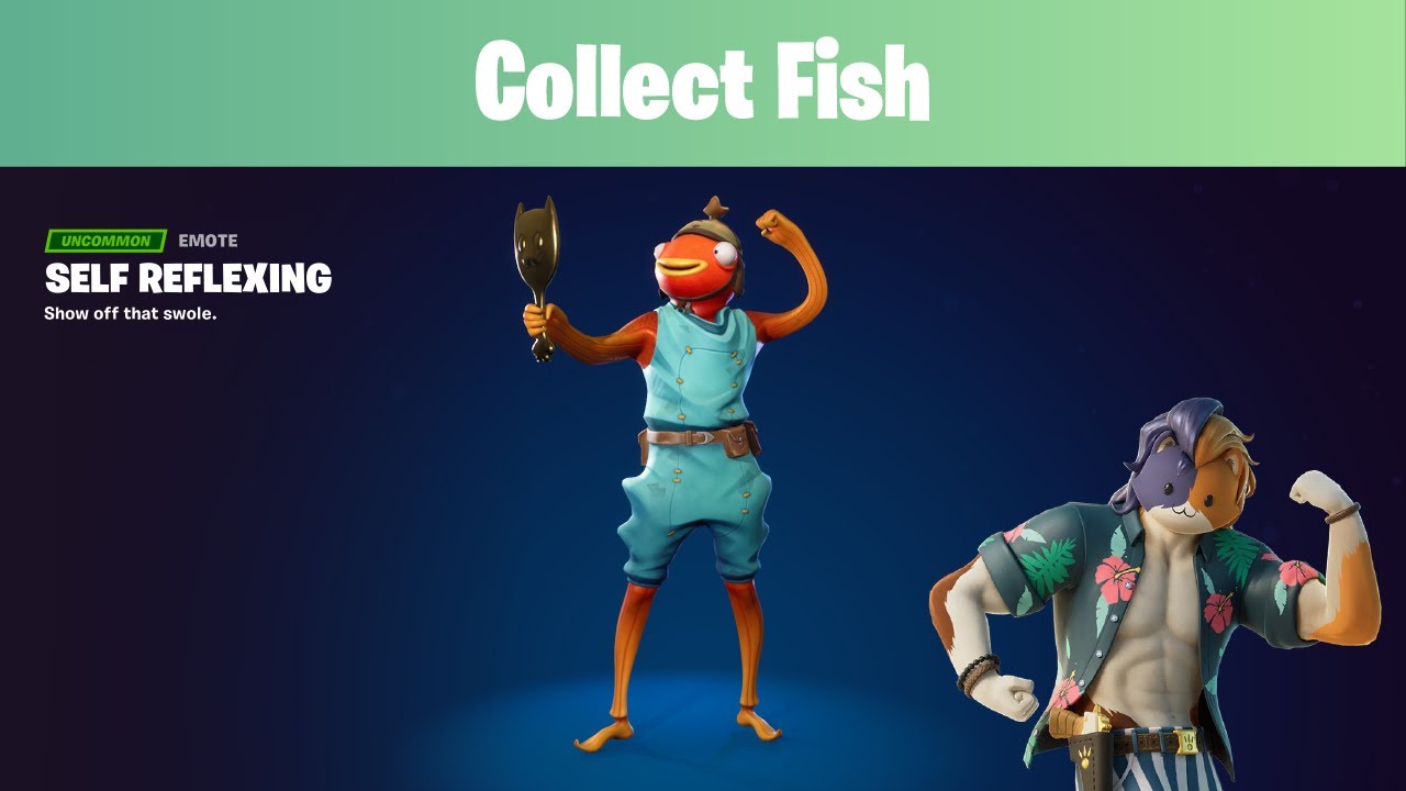 Fortnite วิธีทำ Collect fish-Purradise Meowscles - YouTube