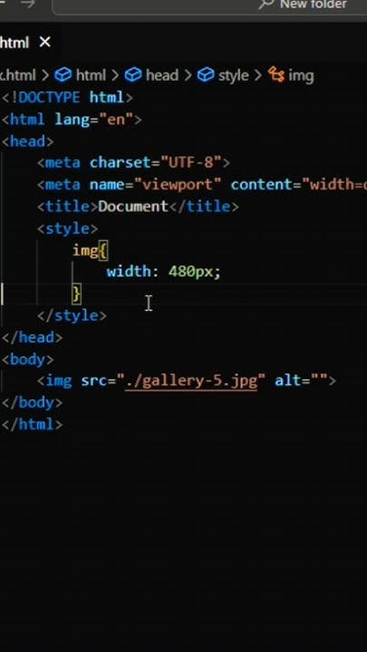 Image Filter In Css Css Filter Property Html Css Coding Csstutorialforbeginners Youtube