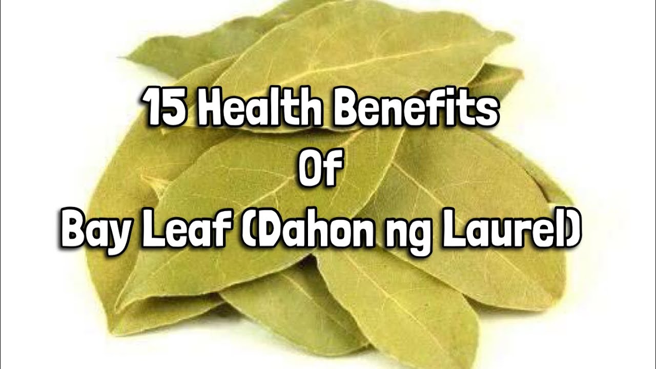 15 HEALTH BENEFITS OF BAY LEAF (DAHON NG LAUREL) - YouTube