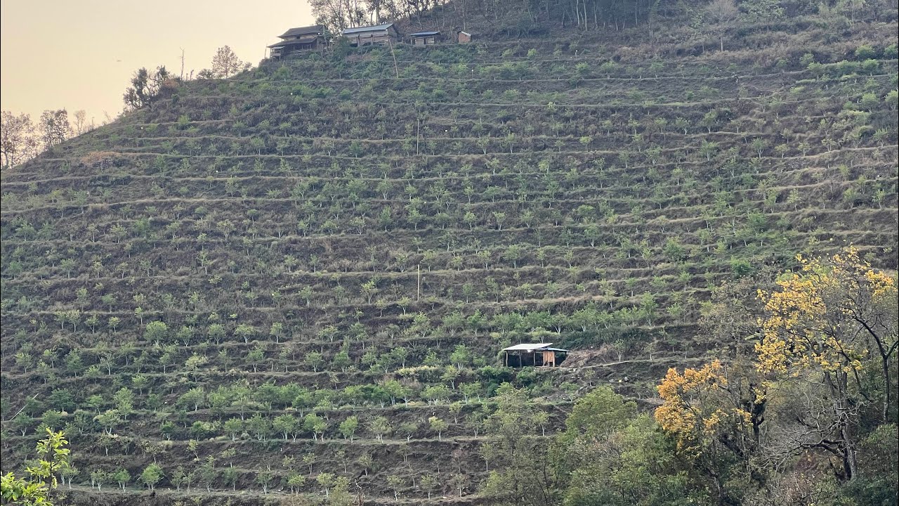 Kagati Kheti In Baglung Galkot Nepal - YouTube