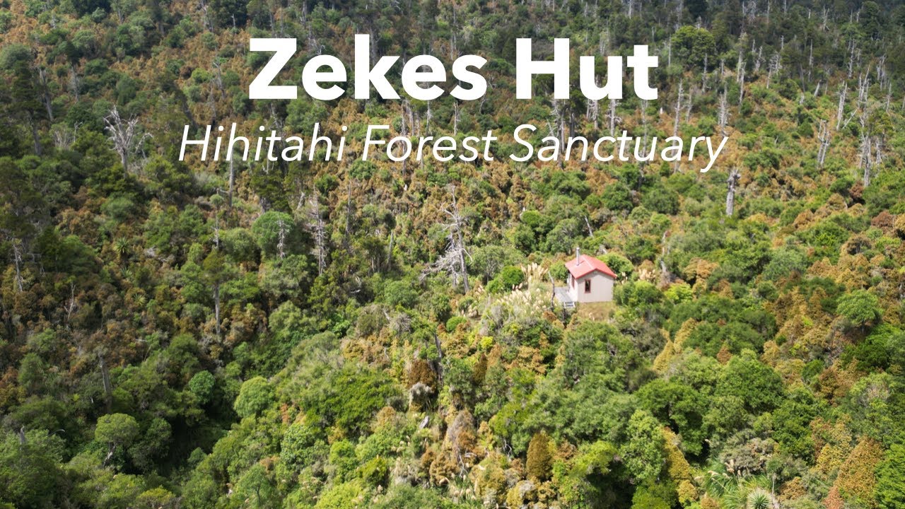 Overnight Hike to Zekes Hut, Hihitahi Forest Sanctuary - YouTube