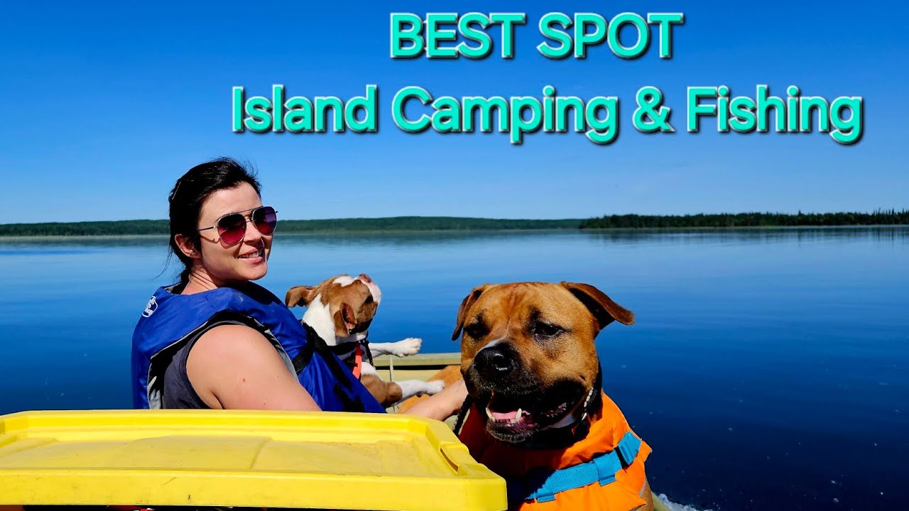 Remote Camping on an Island #outdoorlife #staffies #bostonterrier - YouTube