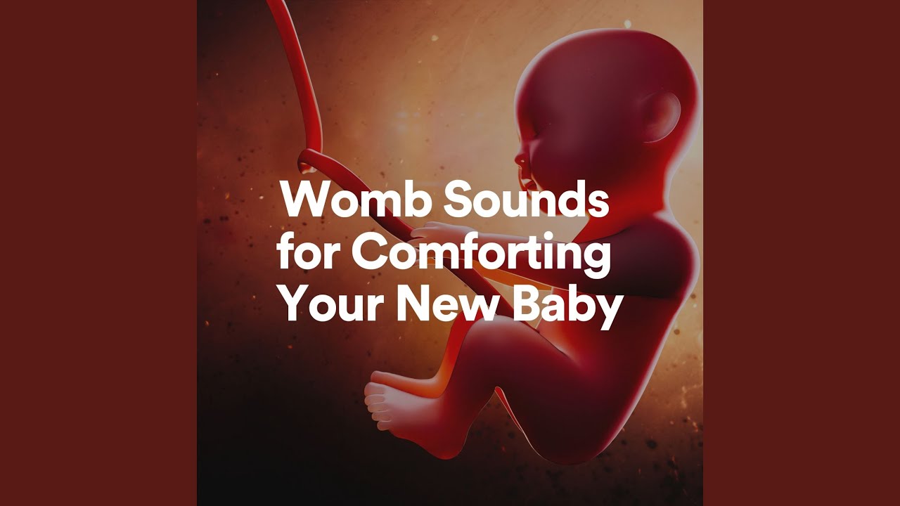 Womb Sounds for Comforting Your New Baby, Pt. 20 - YouTube
