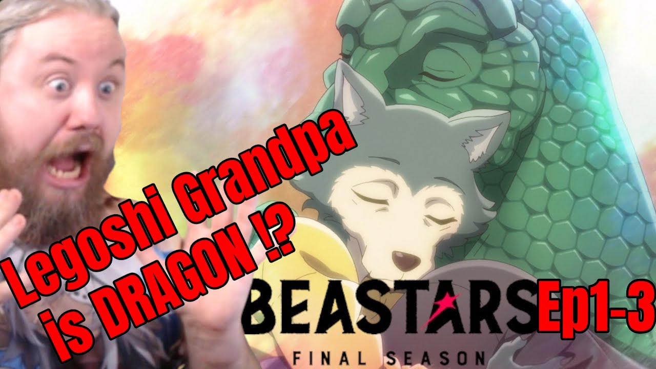 Legoshi Grandpa is DRAGON !? | Beastars Season 3 Episode 1 -3 Reaction ...