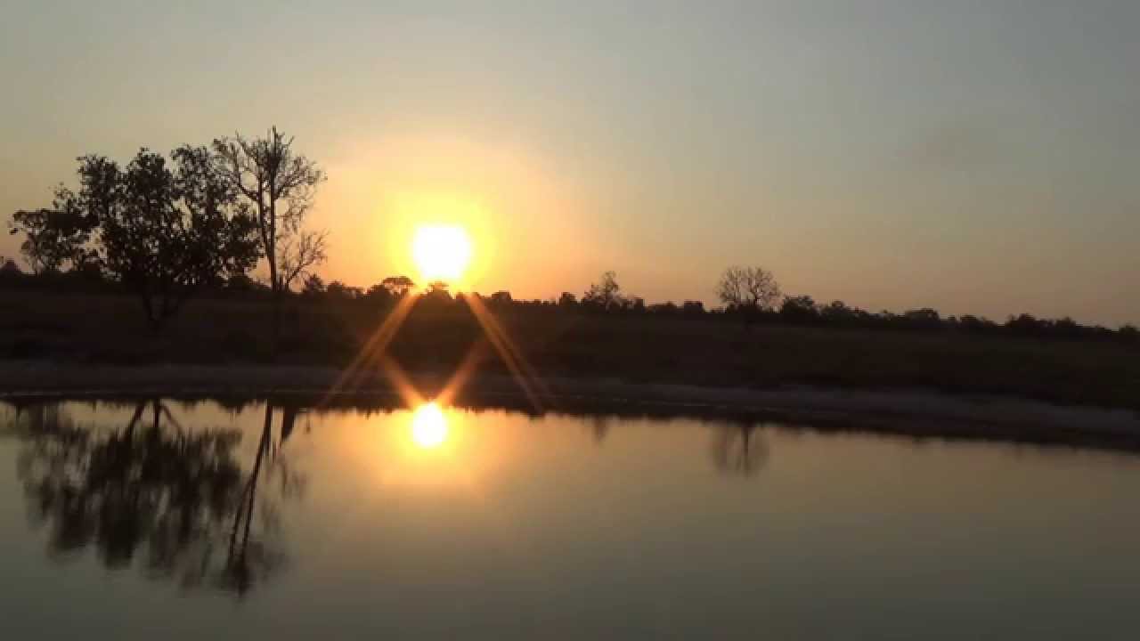 UNDULATED TINAMOU sounds (CRYPTURELLUS UNDULATUS), JAÓ, birds sing ...