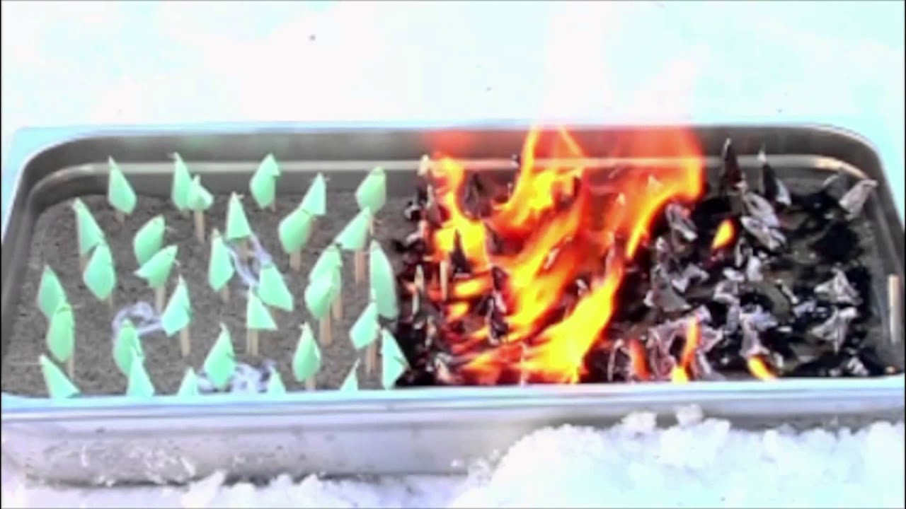 FireSmart Forest Fire Models - YouTube