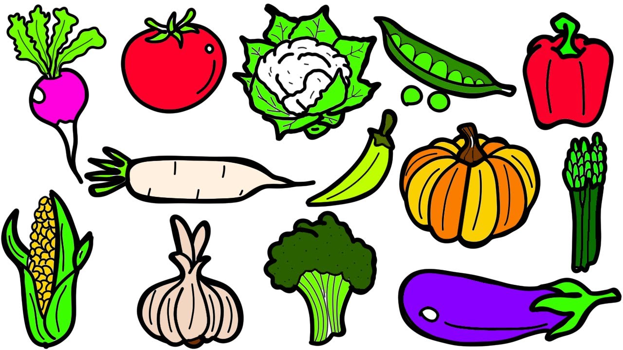 How to Draw Healthy Vegetables Step by Step | Different Types of ...