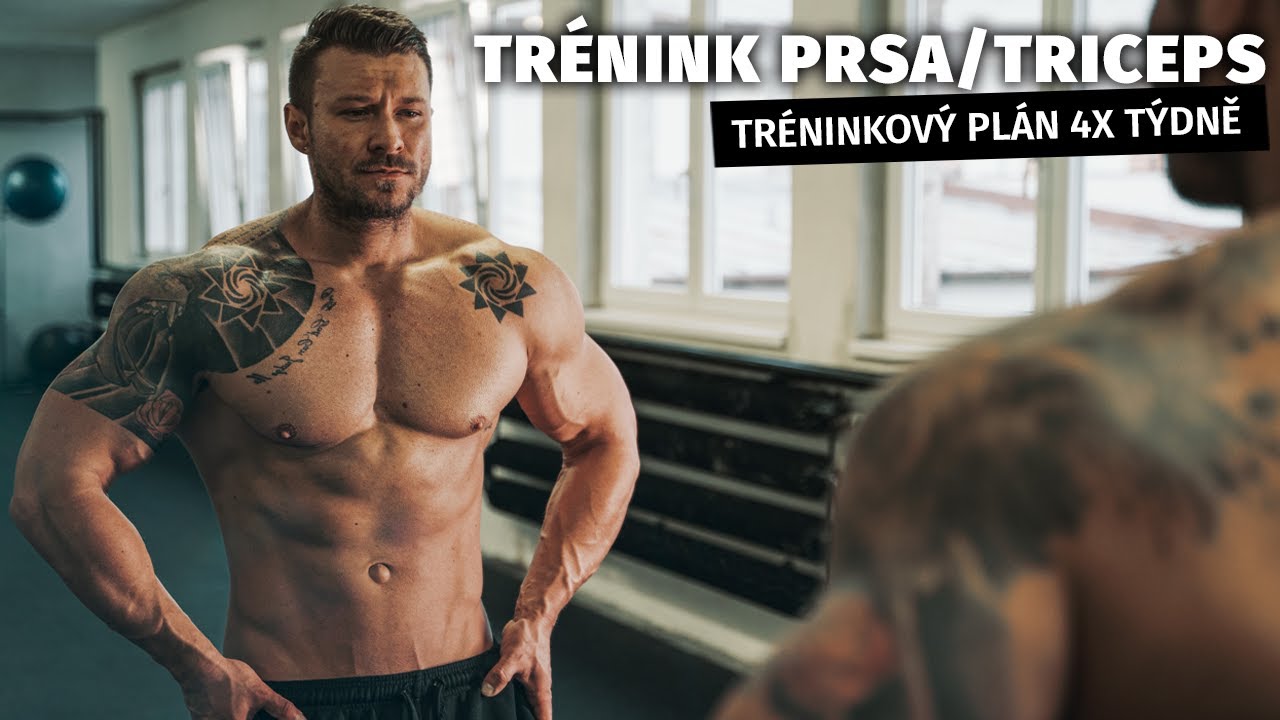 Trénink prsa a triceps | Tréninkový plán Back to Basics | 4x týdně ...