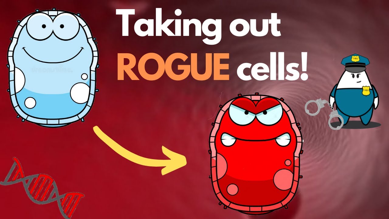What Happens When Your Cells Go Rogue? - Apoptosis Explained! - YouTube