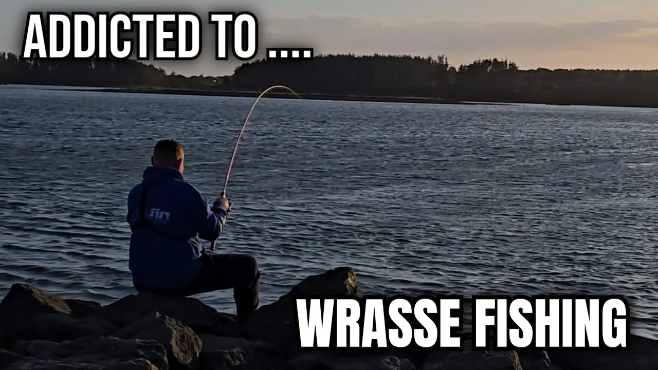 I CAUGHT ANOTHER BIG FISH ️ UK SEA FISHING - Wrasse Fishing - YouTube