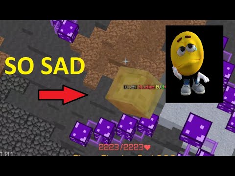 sad times in hypixel skyblock - YouTube
