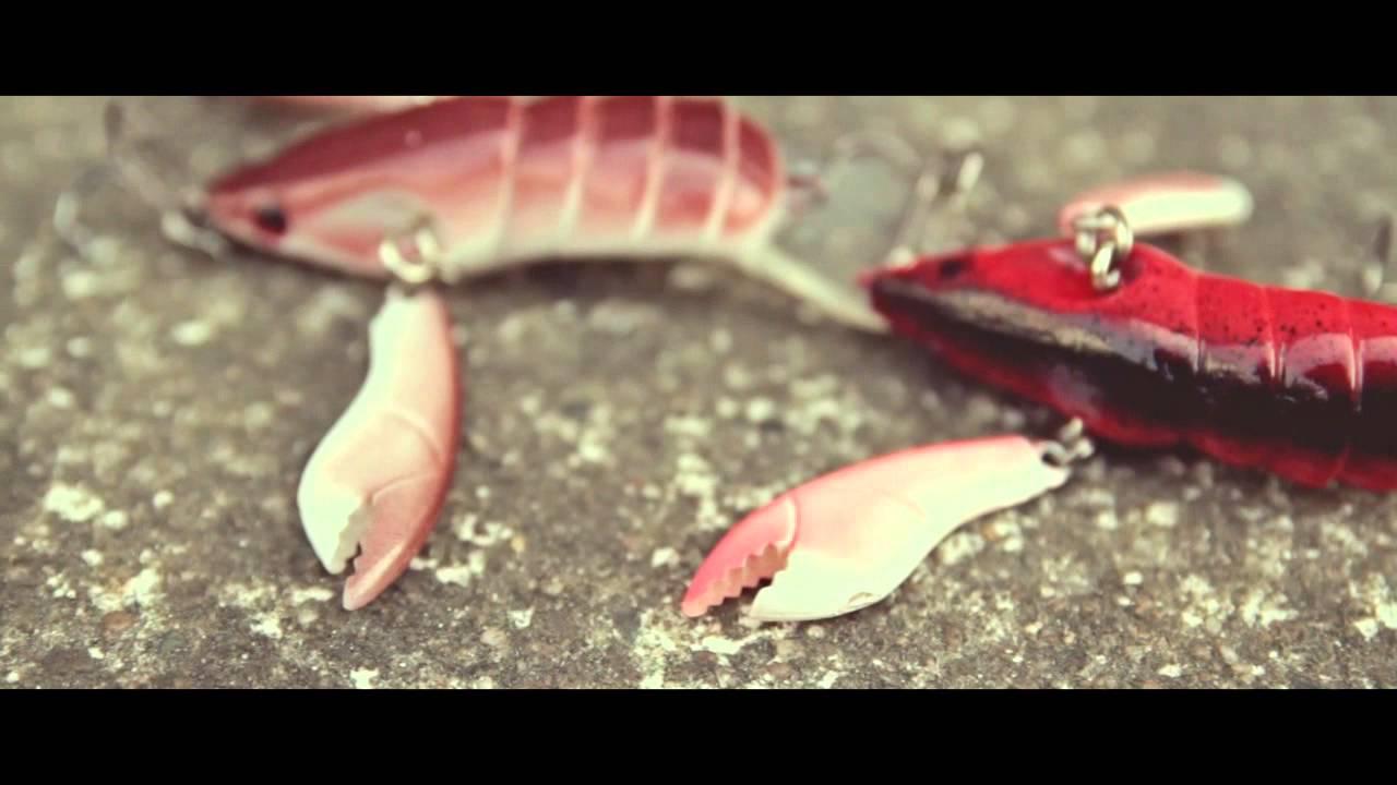 Der Shirasu Crazy Crawler von Balzer im Einsatz - YouTube