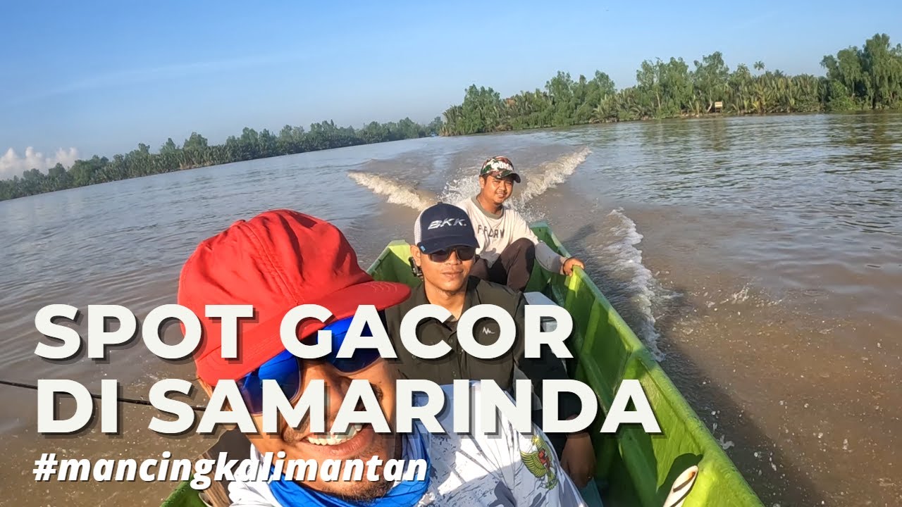 Berbagai Jenis Kakap dkk Berhasil Naik -- Mancing Ikan Kakap di Muara ...