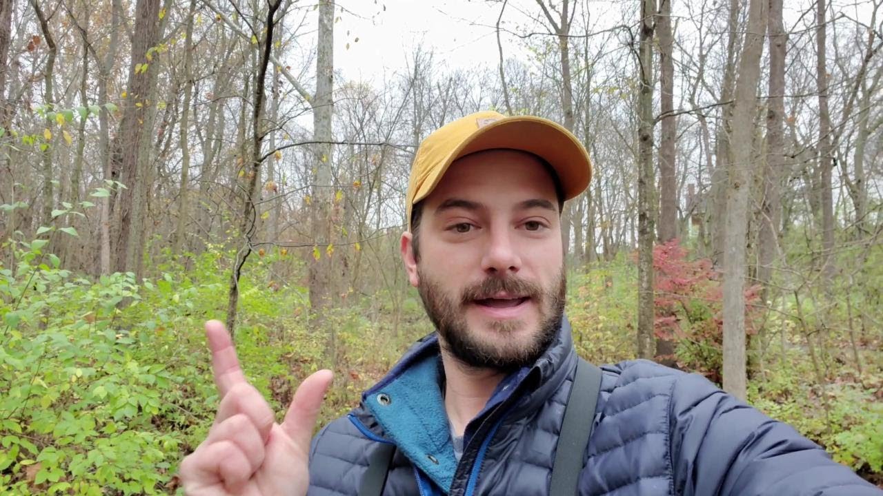 Nature Walk & Talk with Sam Romeo: Leave Your Leaves, October 29, 2020 ...
