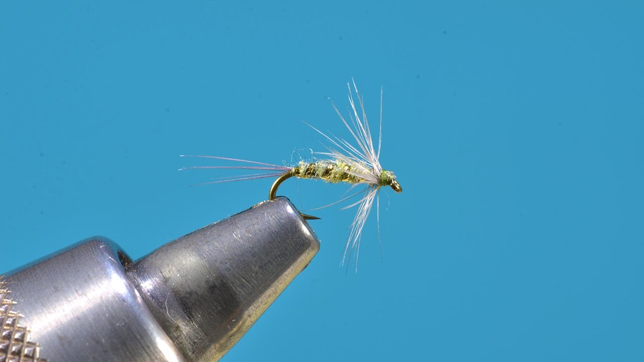 Olive Flymph, a Great Fall Fly with Eric Austin - YouTube