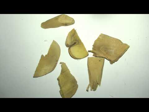 烏藥 @ 中藥材展示與記錄 - Linderae Radix - Chinese Materia Medica Illustration ...