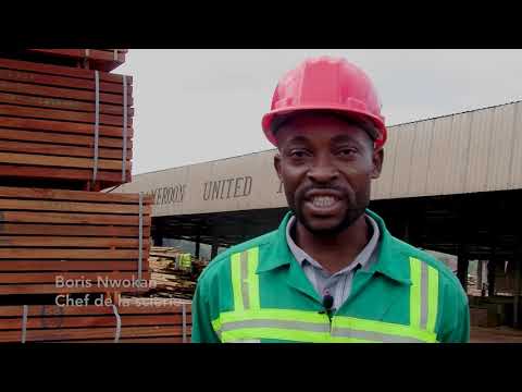 Trésor de la forêt équatoriale - ccommentaucameroun