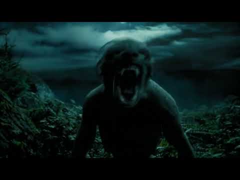 HARRY POTTER(Prisoner of Azkaban)-Heathens