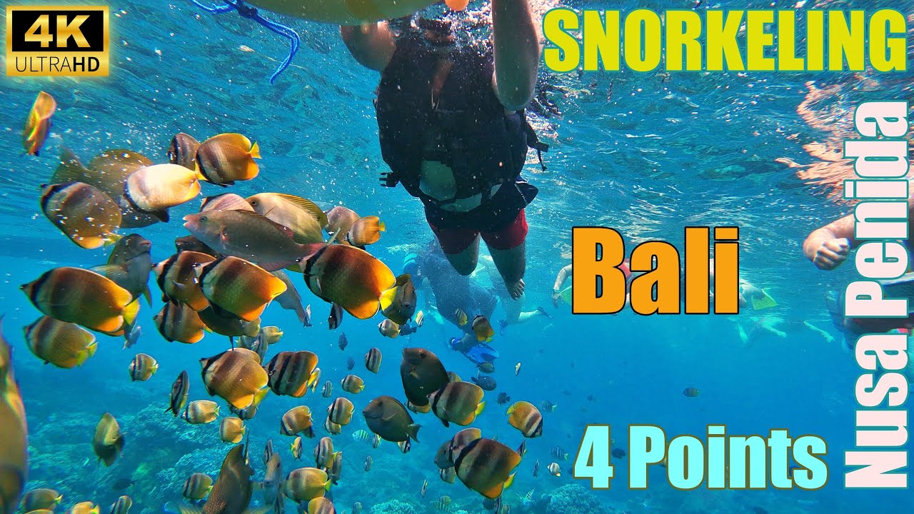 Bali Snorkeling | 4K Underwater Paradise | Nusa Penida | 4 Points ...