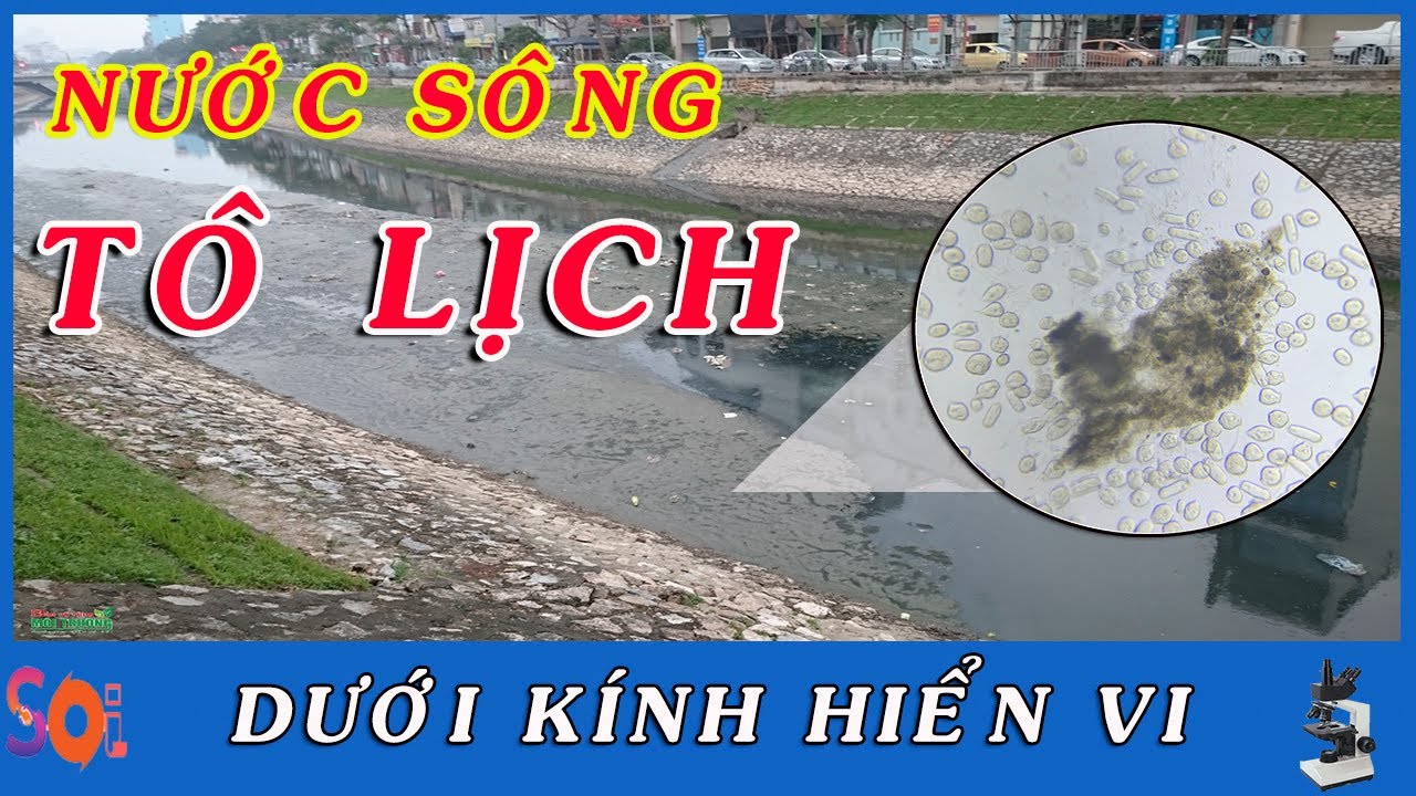🔬 Nước sông TÔ LỊCH dưới kính hiển vi - To Lich river water under a ...